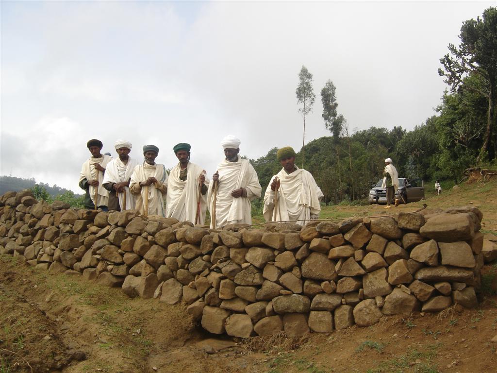 Forests of Ethiopia Update - CanopyMeg - Official Website of Dr. Meg Lowman