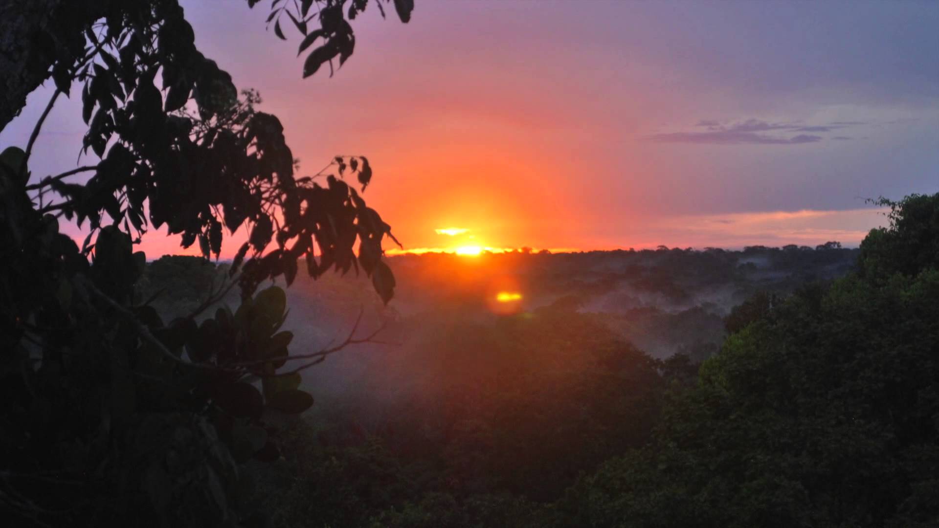 The Joy of Unplugging: Turning Off Technology in the Amazon Jungle ...
