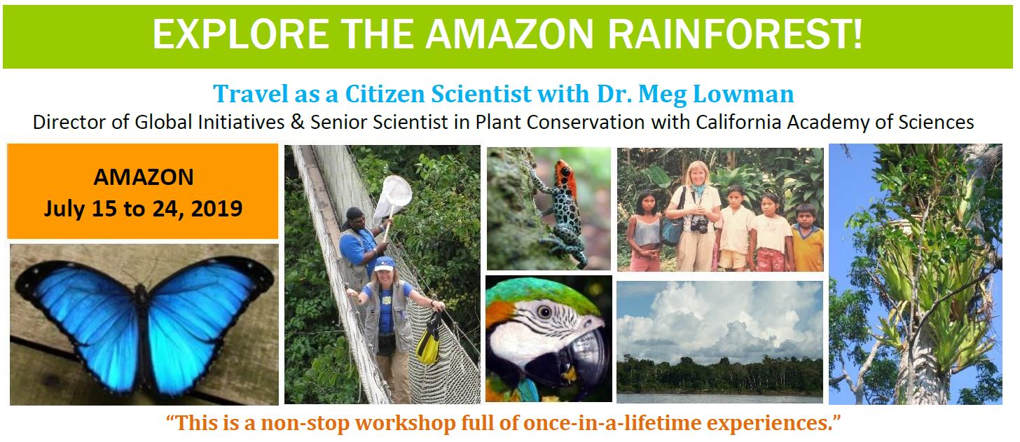 Amazon Rainforest Workshop – Summer 2019 | CanopyMeg