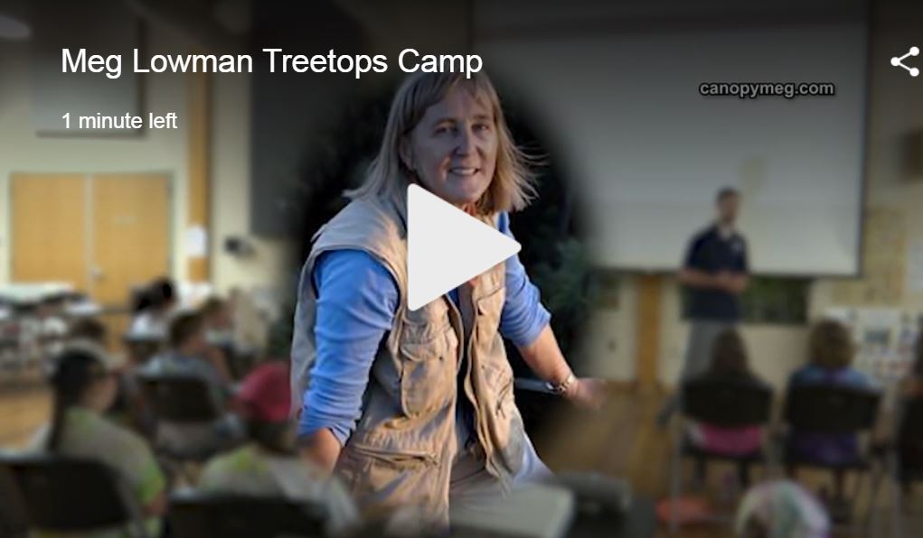 CanopyMeg - Official Website of Dr. Meg Lowman | Scientist, Author ...