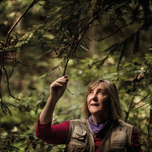 CanopyMeg - Official Website of Dr. Meg Lowman | Scientist, Author ...