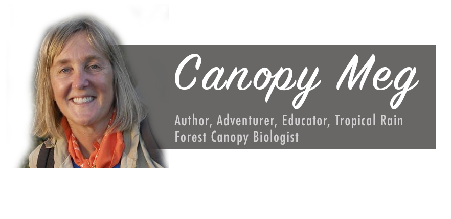 About Dr. Margaret Lowman | Canopy Meg | CanopyMeg - Official Website ...