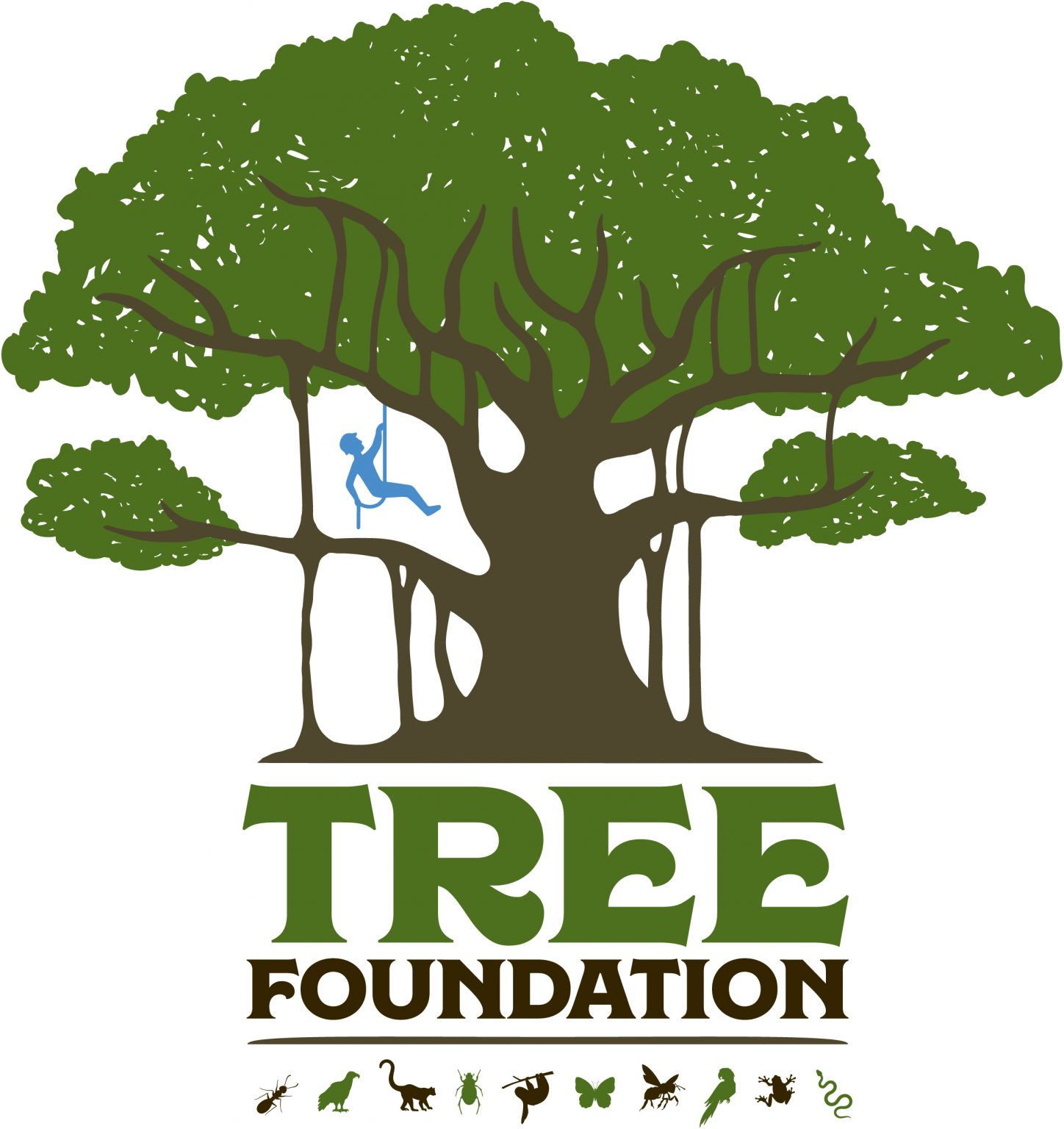 TREE Foundation | CanopyMeg!