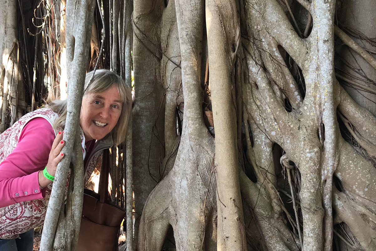 About Dr. Margaret Lowman | Canopy Meg