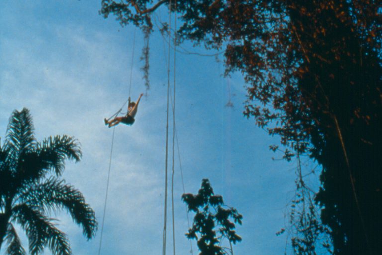 Join CanopyMeg! Missions