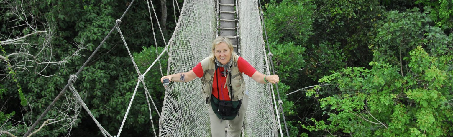 About Dr. Margaret Lowman | Canopy Meg