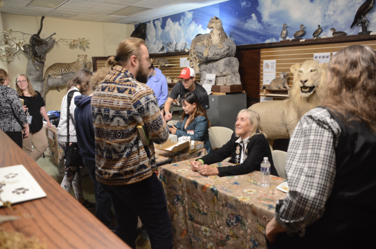 CanopyMeg! - Margaret Lowman Ph.D.