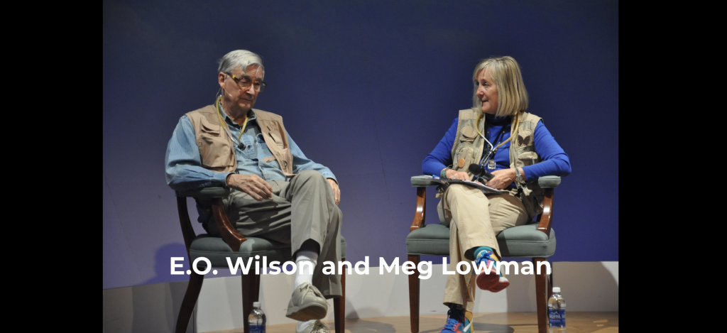 Forest and Big Tree Conservation Speaker Meg Lowman | CanopyMeg