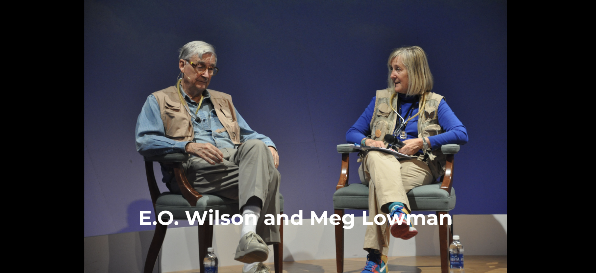 Forest and Big Tree Conservation Speaker Meg Lowman | CanopyMeg