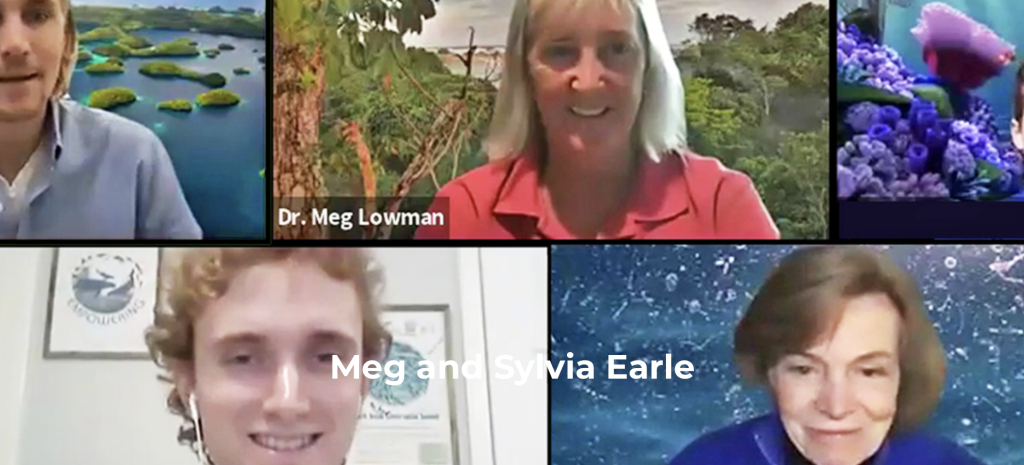 Forest and Big Tree Conservation Speaker Meg Lowman | CanopyMeg