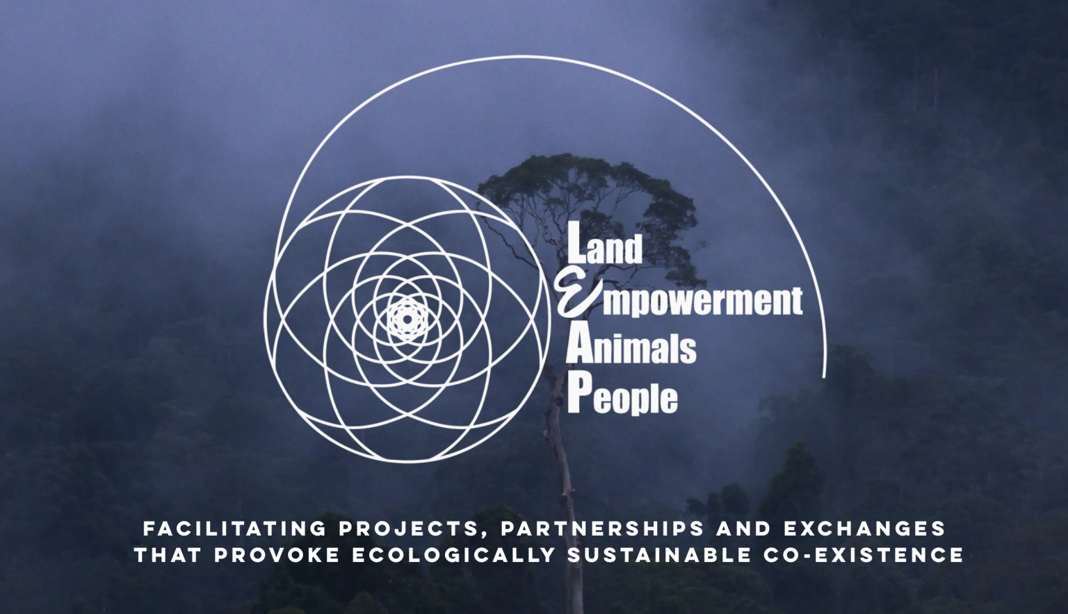 CanopyMeg! - Margaret Lowman Ph.D.