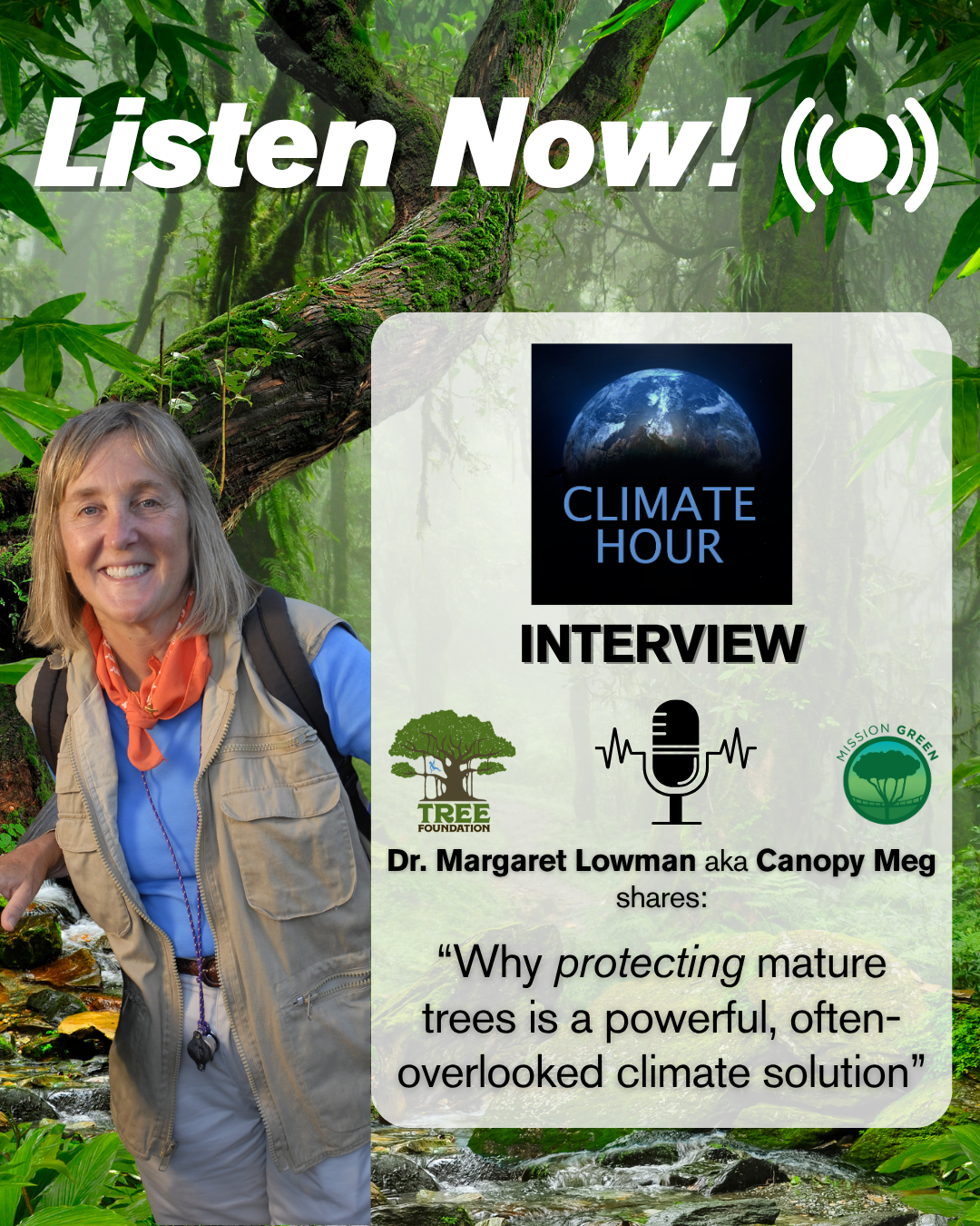 The Power of Trees in the Climate Fight: Dr. Meg Lowman Talks Forest ...